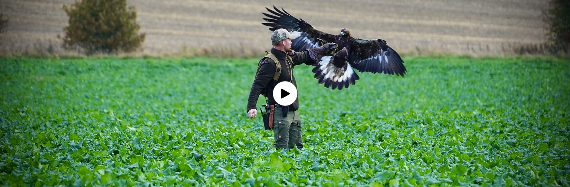 Bull X Lure Machines